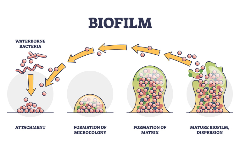 Postbiotics for Biofilm Management - DiagnosTechs, Inc.