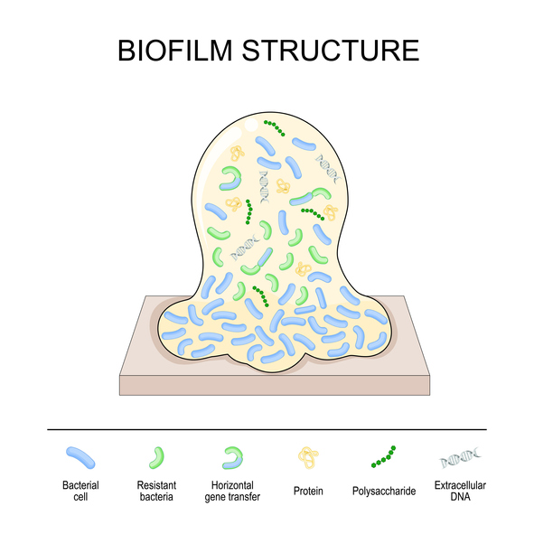Postbiotics for Biofilm Management - DiagnosTechs, Inc.